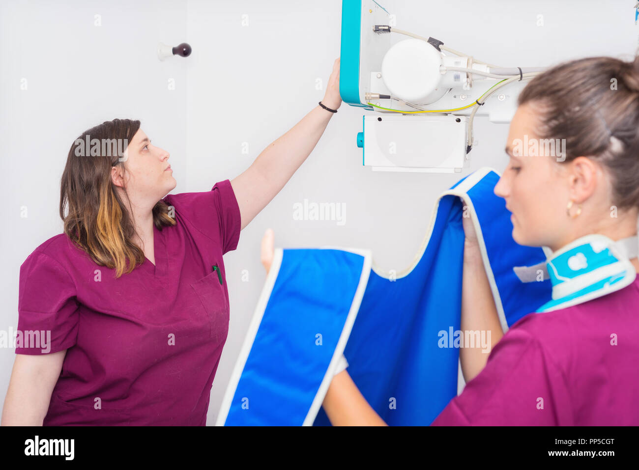 Veterinary radiologist examining dog in x-ray room Stock Photo - Alamy