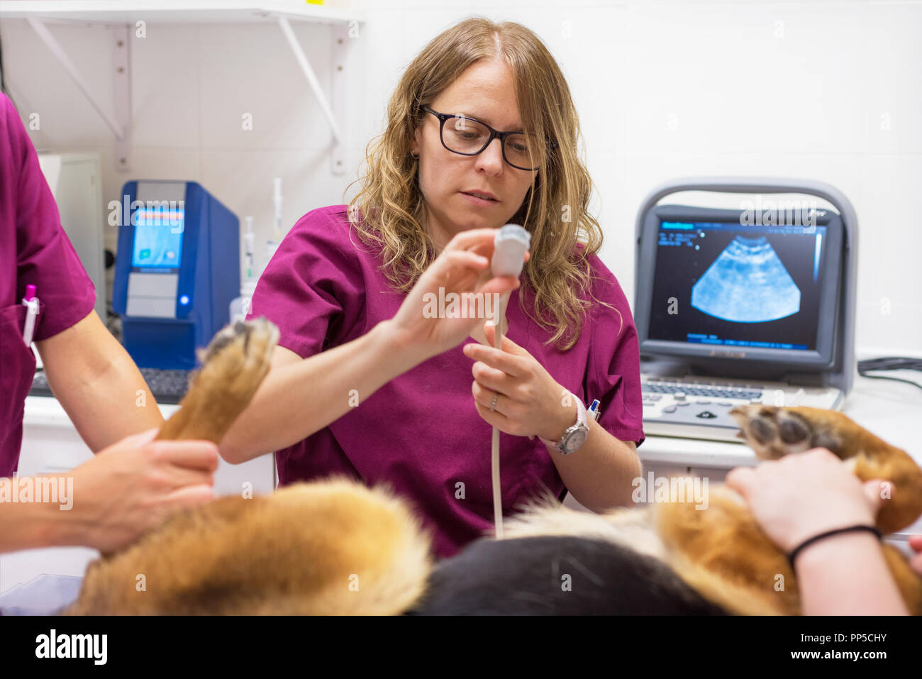 Pet scan machine hi-res stock photography and images - Alamy