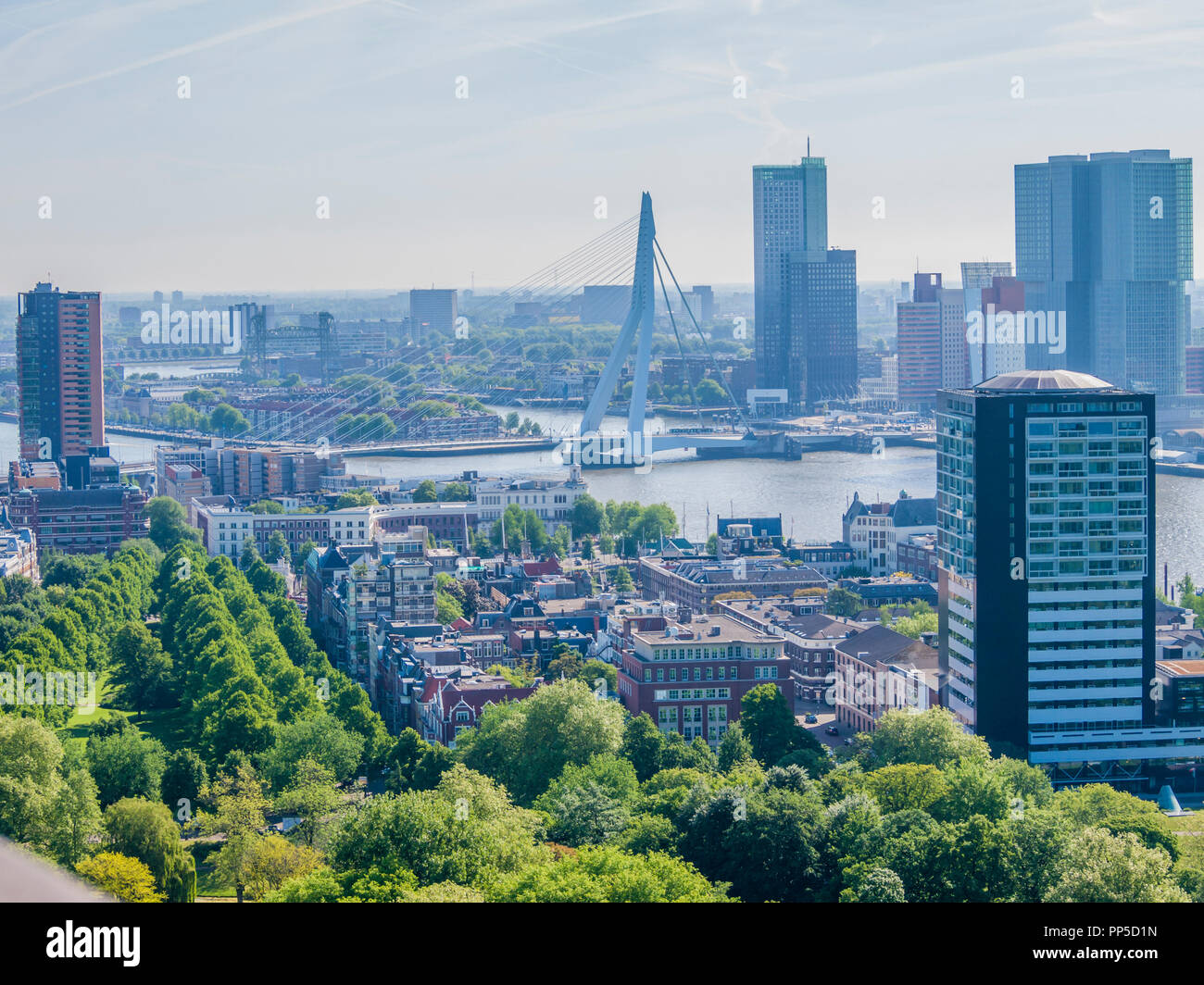 panoramic view of a part of Rotterdam with its canals and the Erasmus ...