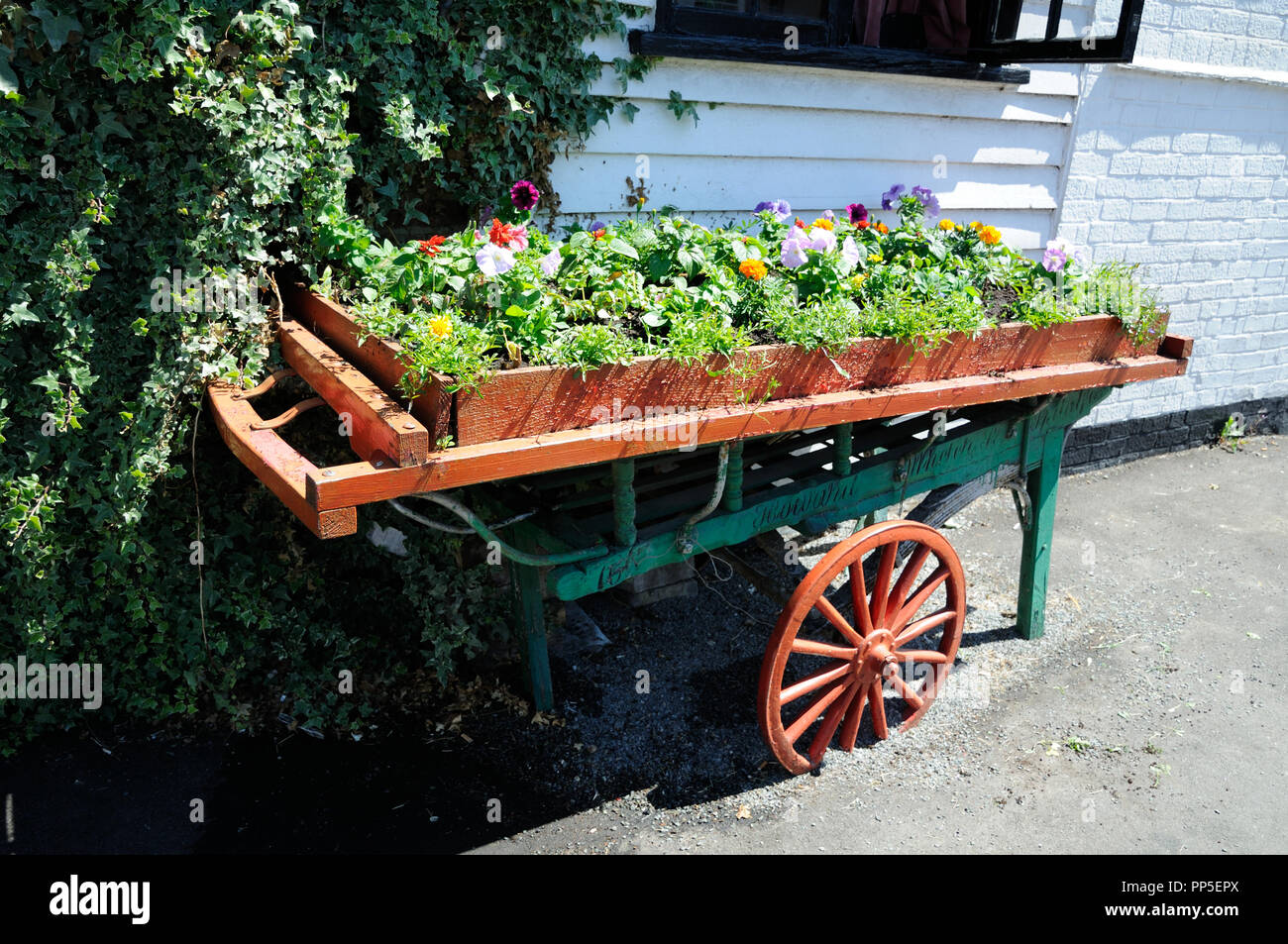 Flower display in a barrow, Goat Inn, Codicote, Hertfordshire Stock ...