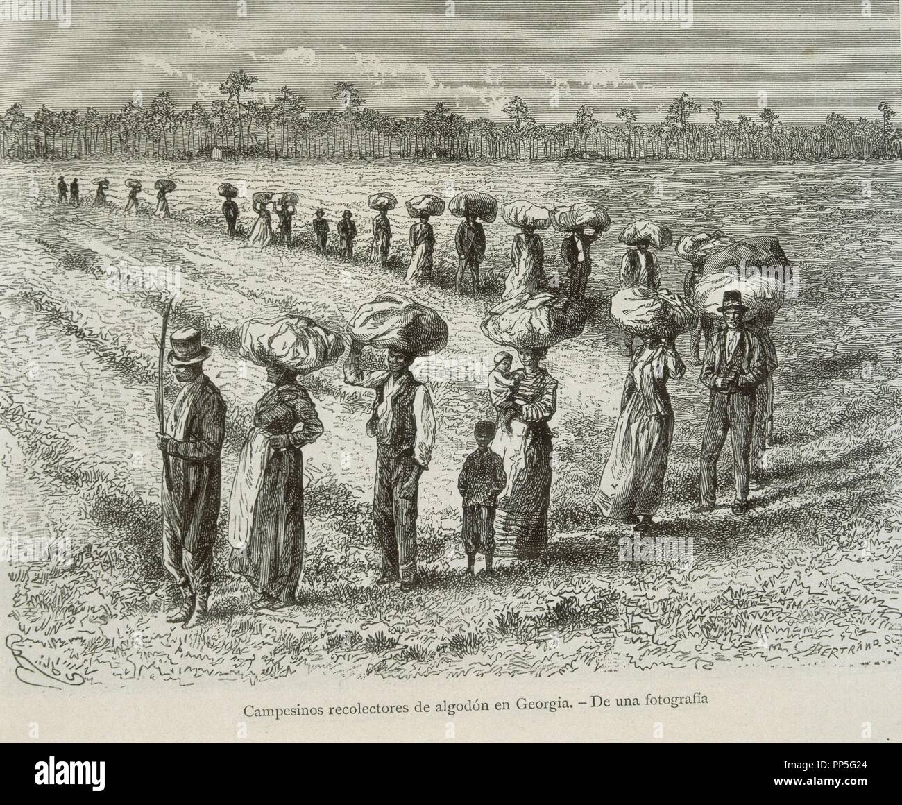 Recolectores hi-res stock photography and images - Alamy