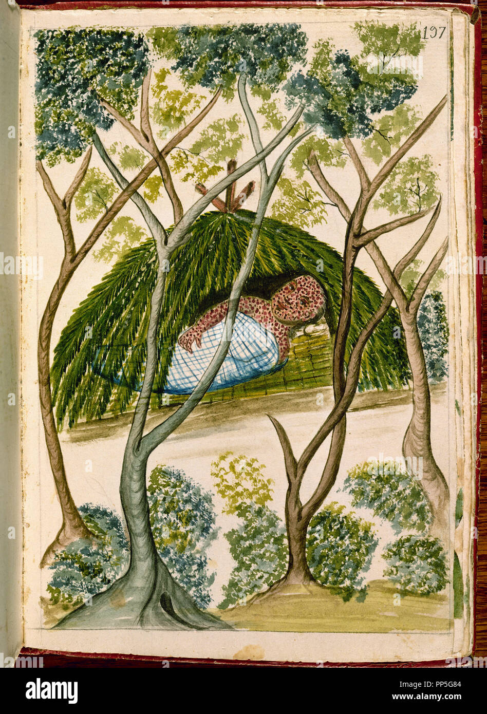 CODEX TRUJILLO, PERU - BOOK II, E. 197 - SICK INDIAN OF VIRUELA ...