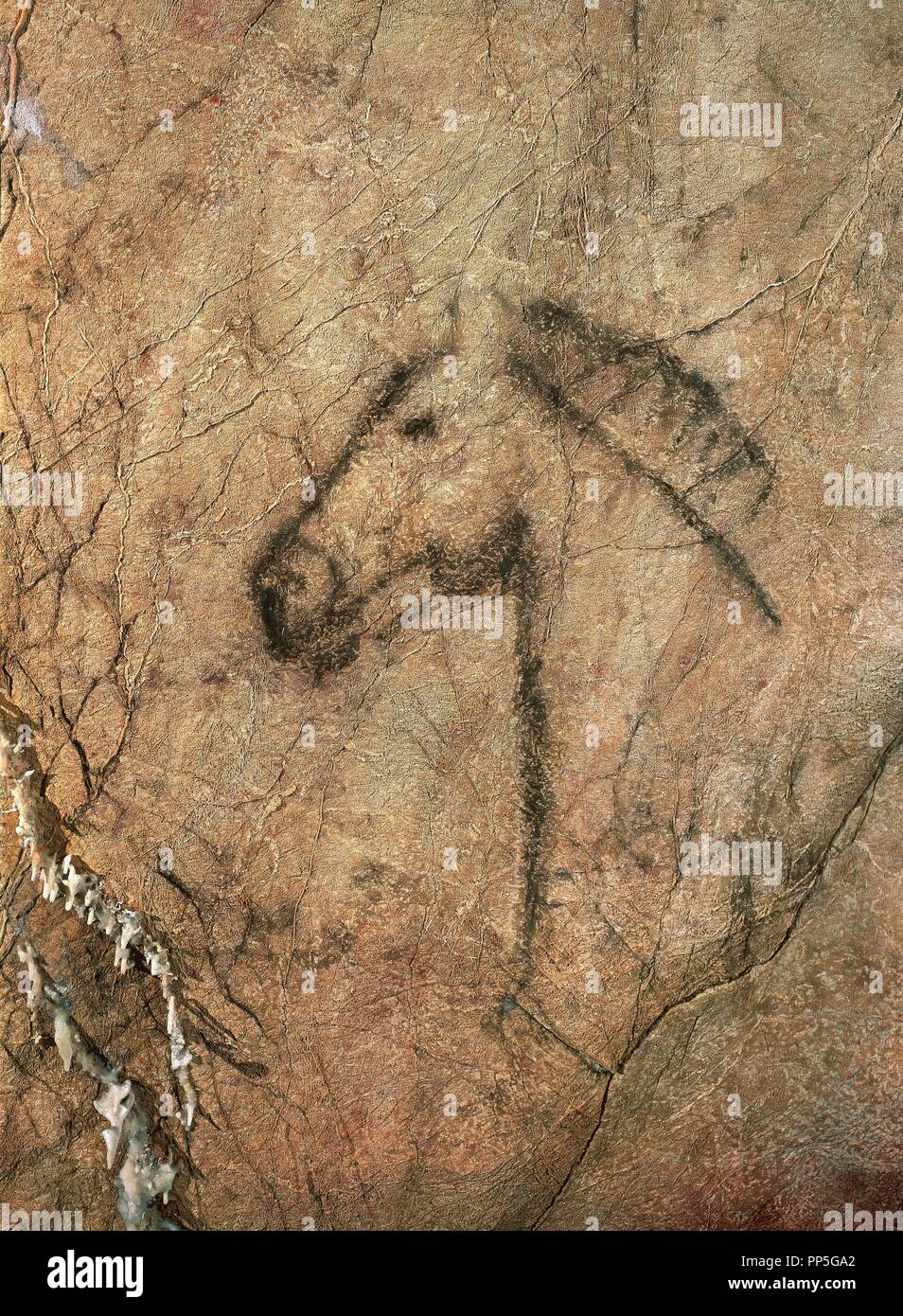 ROCK PAINT - HORSE HEAD, CAVE "TITO BUSTILLO" - Upper Paleolithic ...