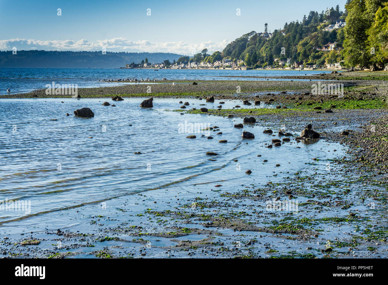 A view of the shoreline at Normandy Park, Washington with Three Tree ...
