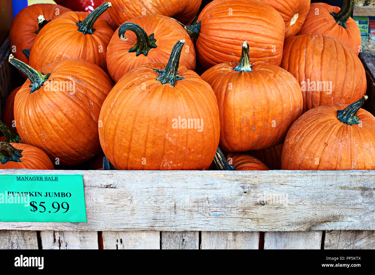 Price tag dollar store hi-res stock photography and images - Alamy