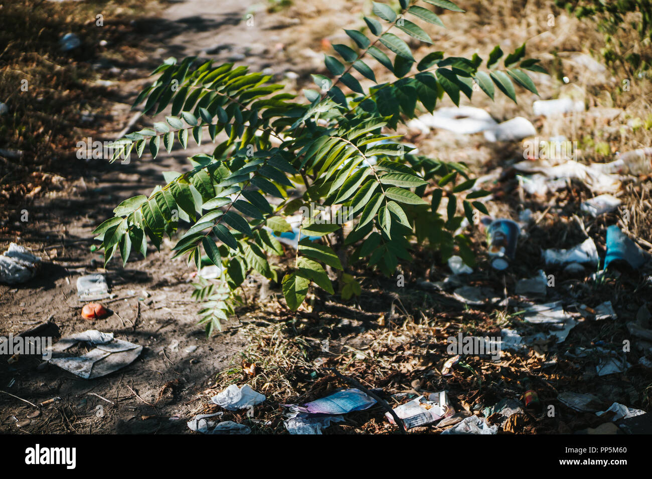 Plastic pollution tree hi-res stock photography and images - Alamy