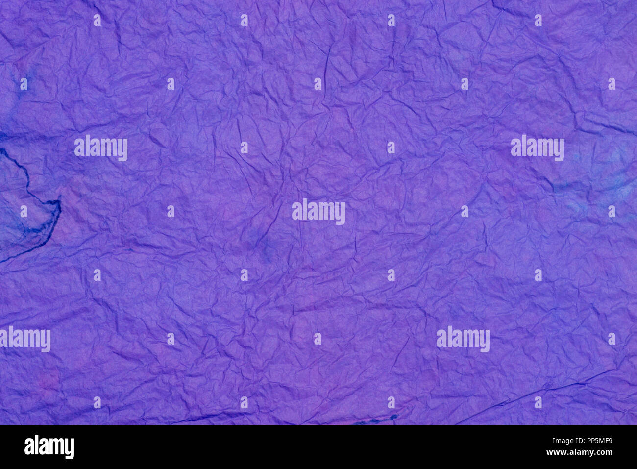 violet creased colored tissue paper background texture macro Stock ...
