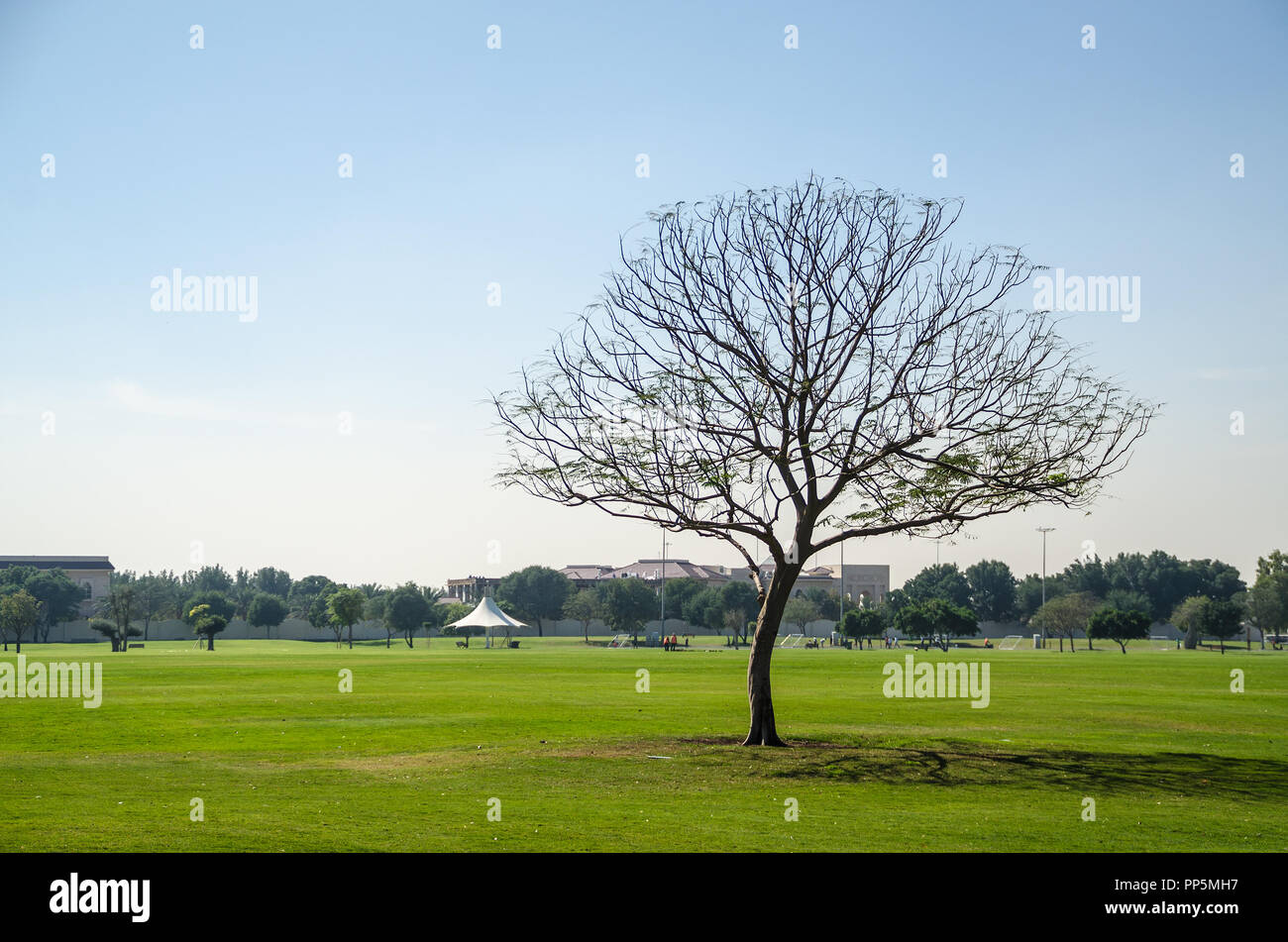 Tree park with nature hi-res stock photography and images - Alamy