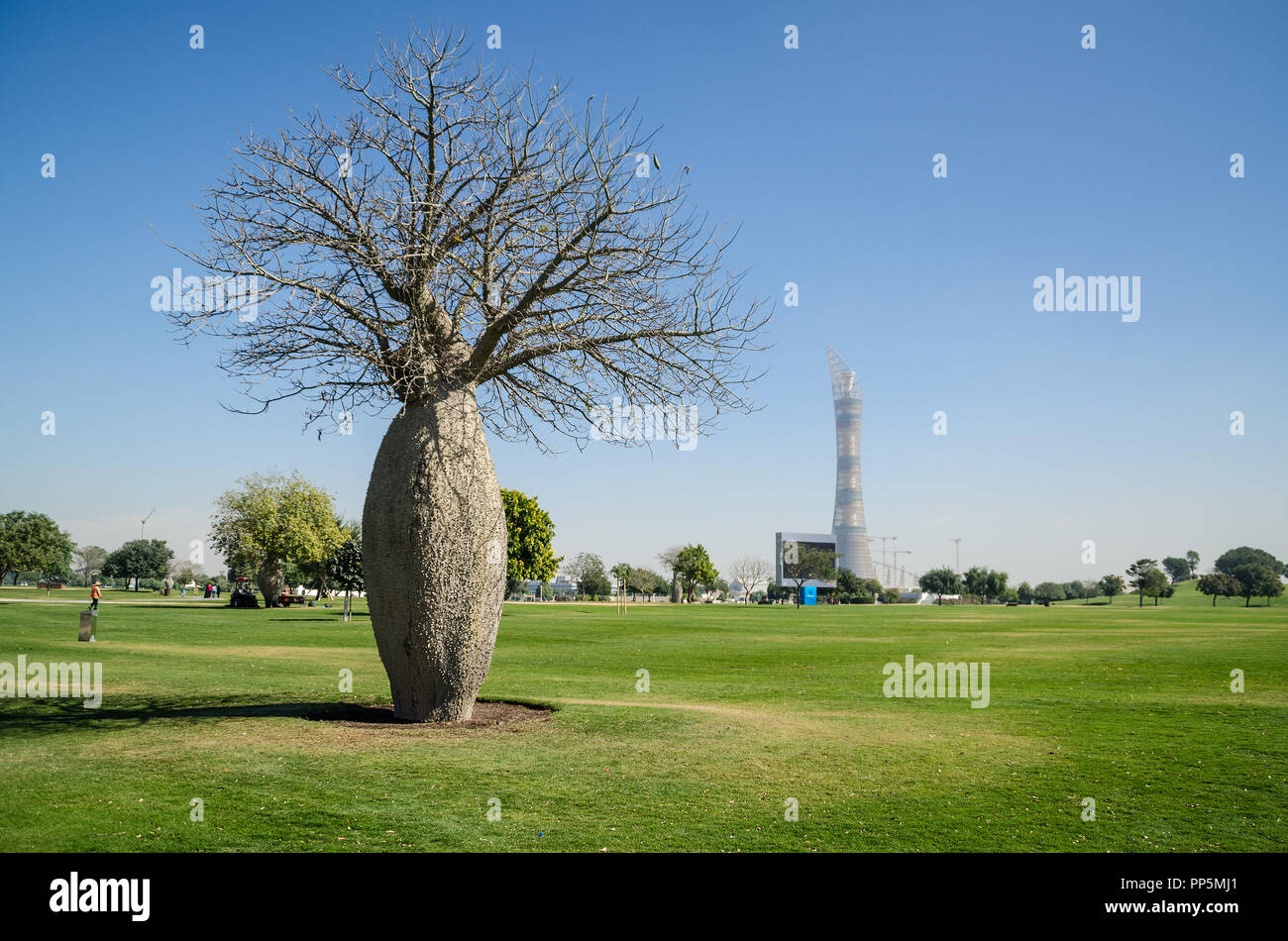 Tree park with nature hi-res stock photography and images - Alamy