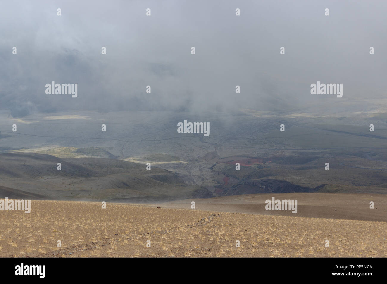 View on the strato vulcano cotopaxi, ecuador Stock Photo - Alamy