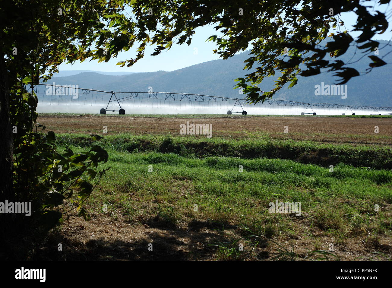 Irrigation system in agricultural field, Hahula Valley, Israel Stock ...