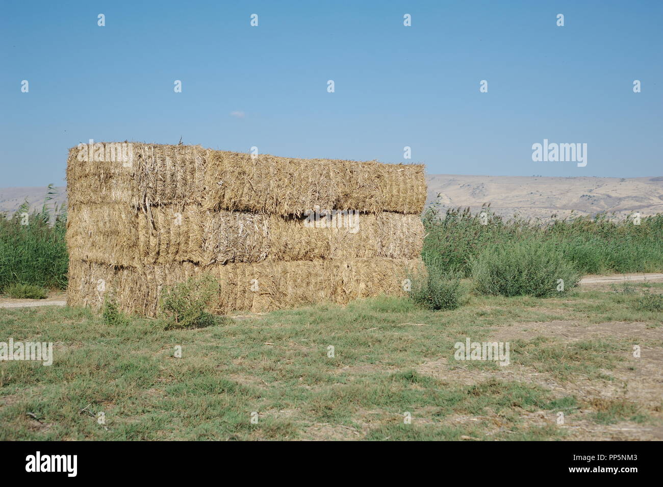 straw package, agriculture crop, Hahula Valley Stock Photo - Alamy