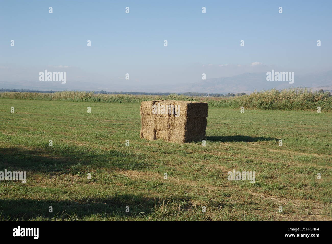 straw package, agriculture crop, Hula Valley Stock Photo - Alamy