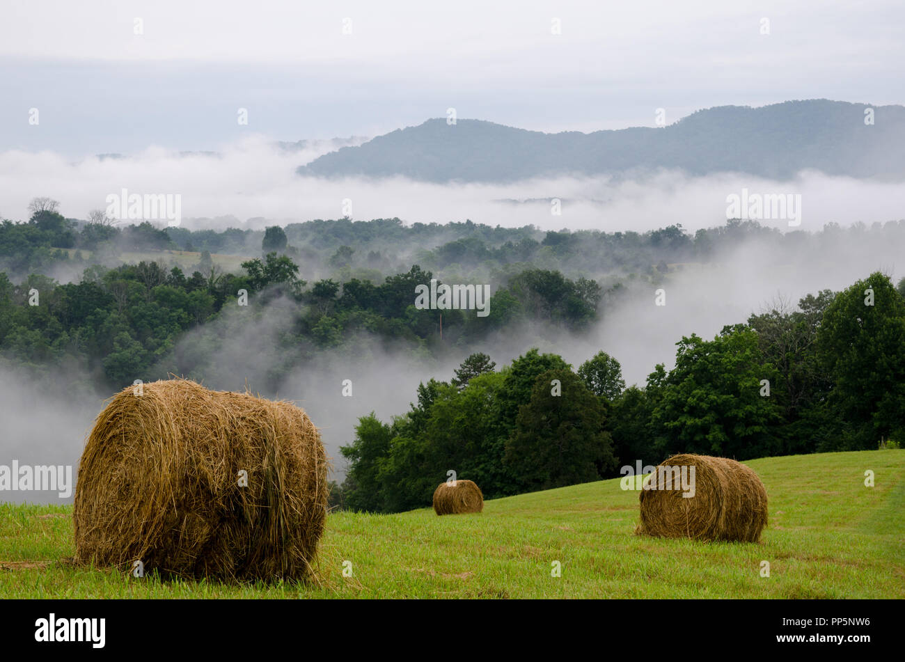 Three hay rolls on hilltop during rainy season Stock Photo - Alamy