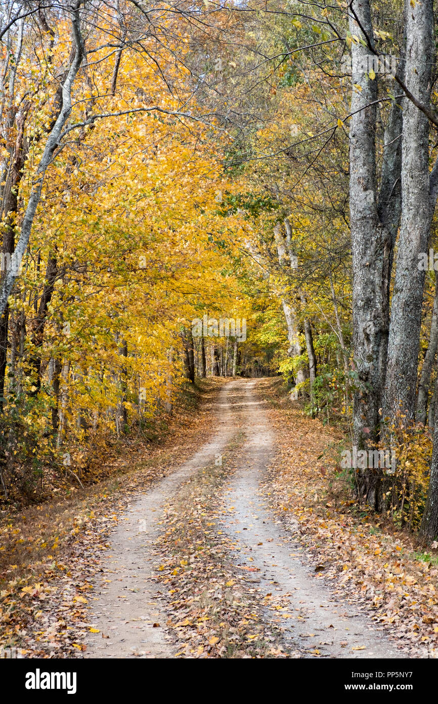 Natchez trace hi-res stock photography and images - Alamy