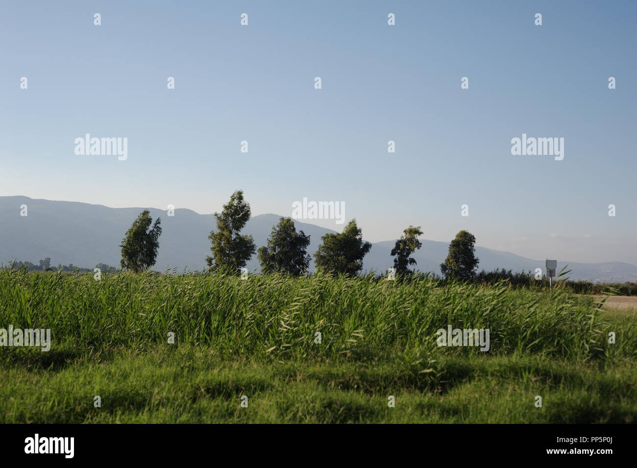 Hahula Valley, Israel Stock Photo - Alamy