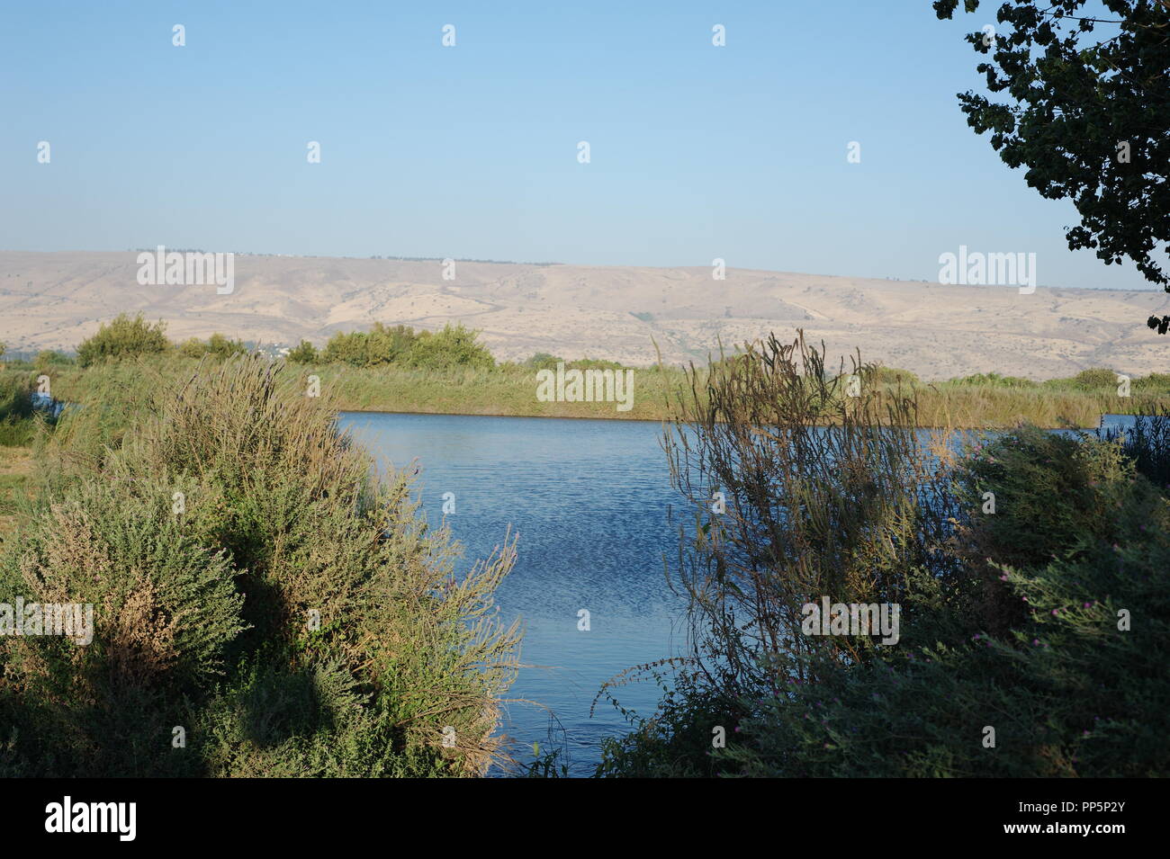 Agmon hi-res stock photography and images - Alamy