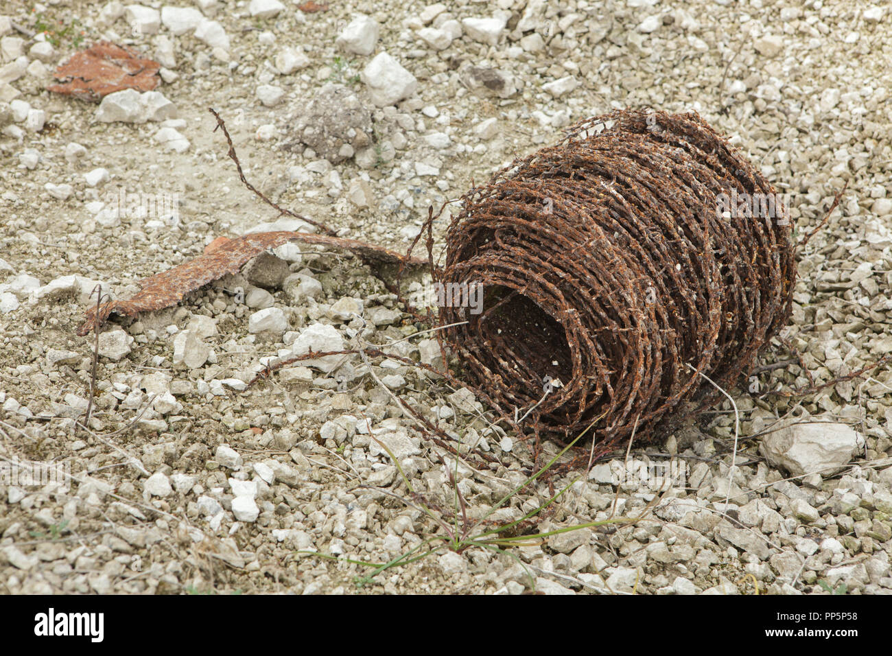 Barbed wire used during the First World War on display in the Main de ...