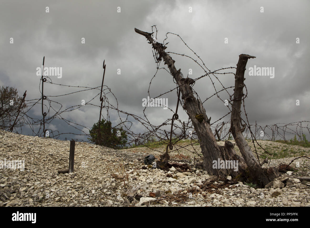 Barbed wire entanglements in front of the trench used during the First ...