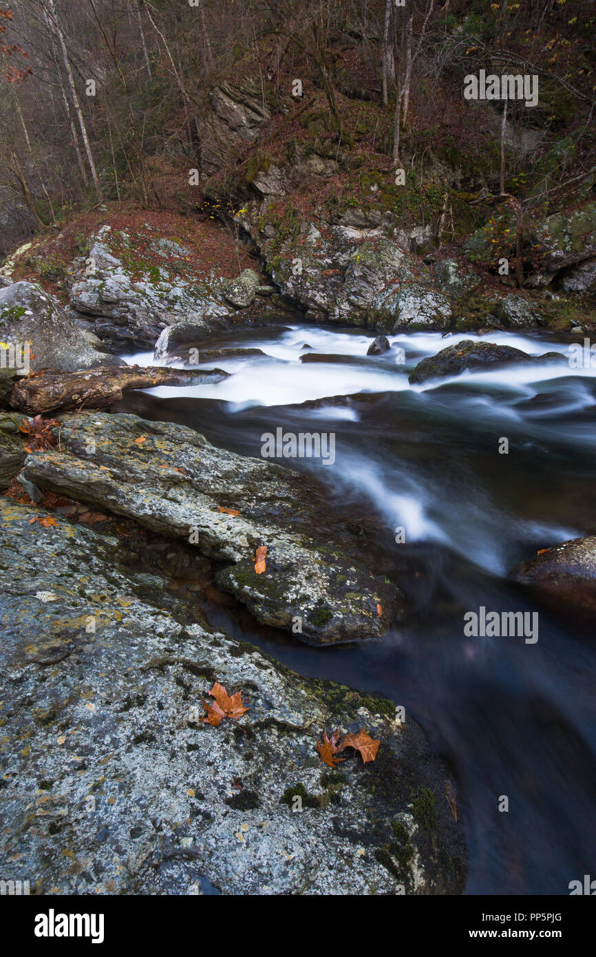 Tennessee river water hi-res stock photography and images - Alamy