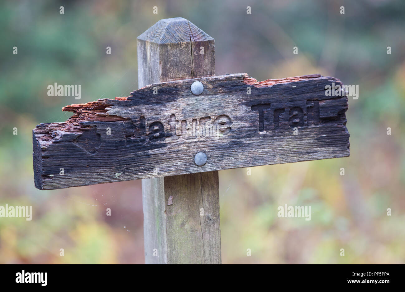 Wooden nature trail sign damaged by fire Stock Photo - Alamy
