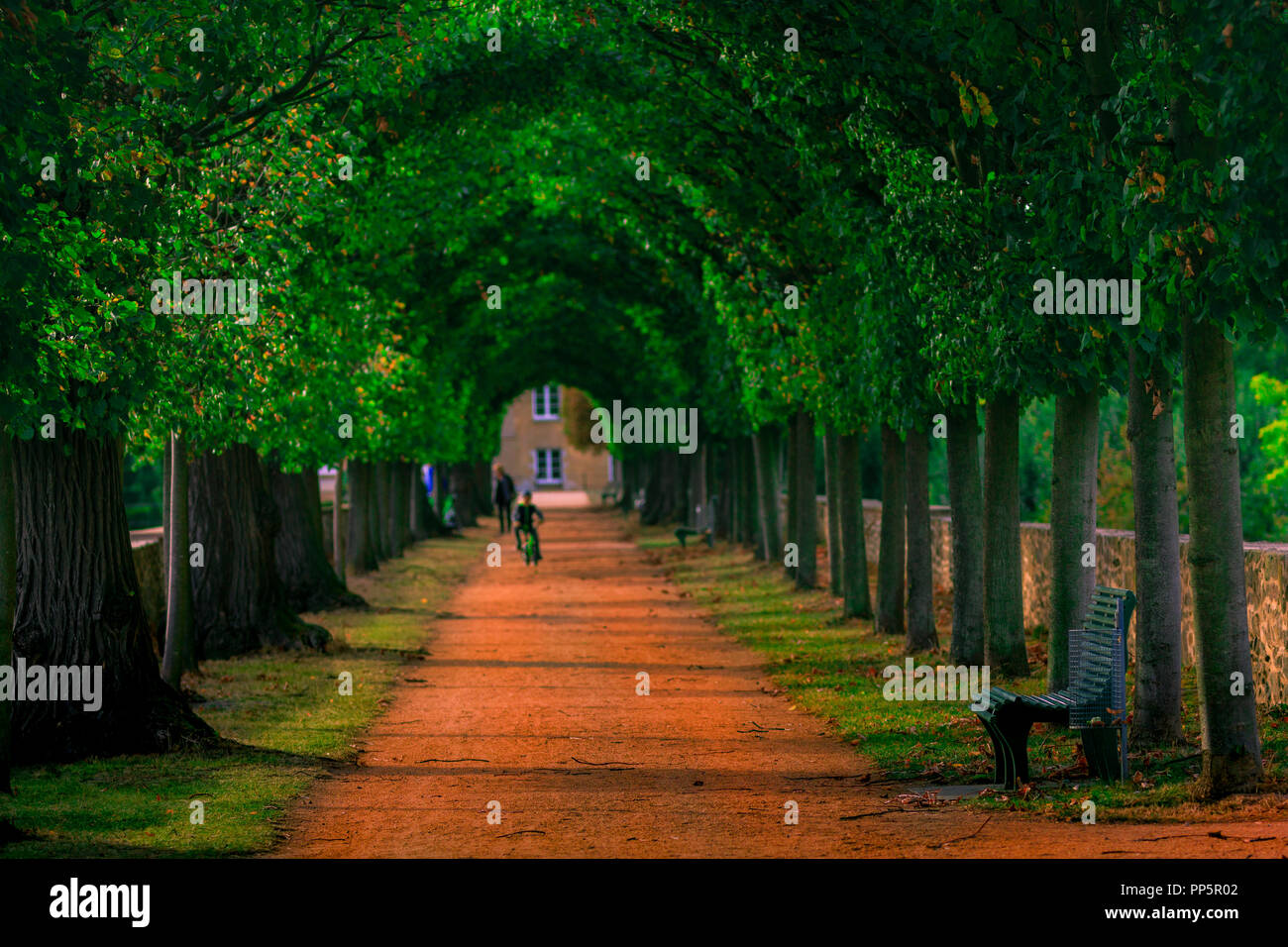 Castle garden with path and trees Stock Photo - Alamy