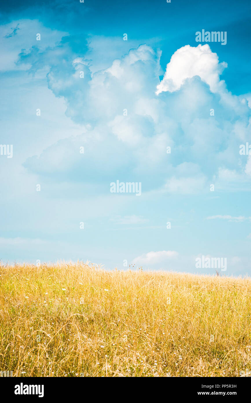 Vertical blue sky field hi-res stock photography and images - Alamy