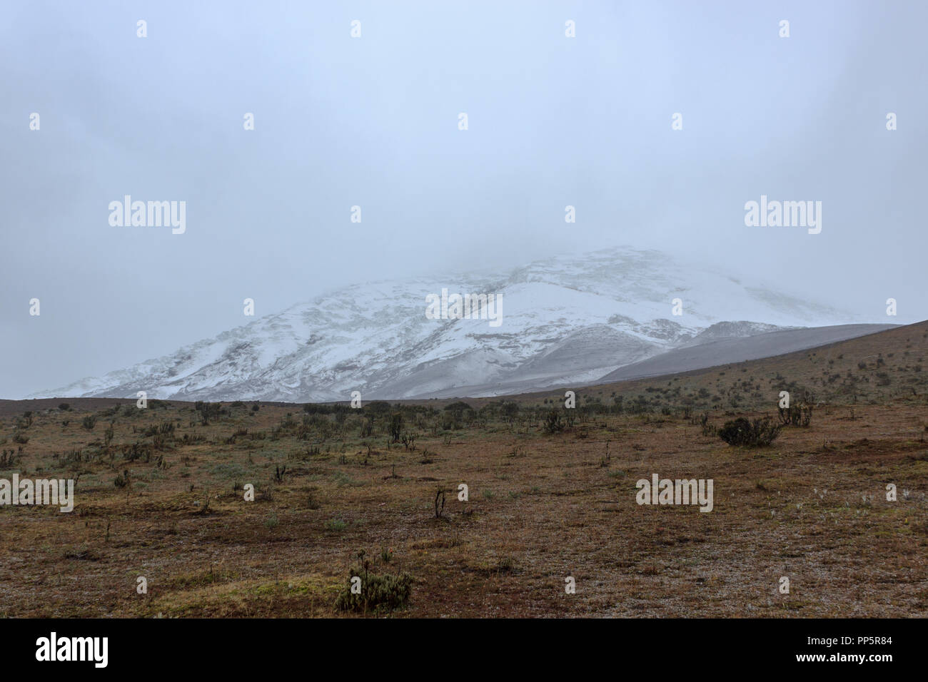 View on the strato vulcano cotopaxi, ecuador Stock Photo - Alamy