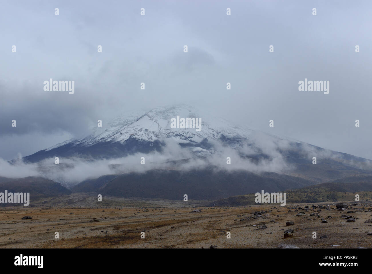 View on the strato vulcano cotopaxi, ecuador Stock Photo - Alamy
