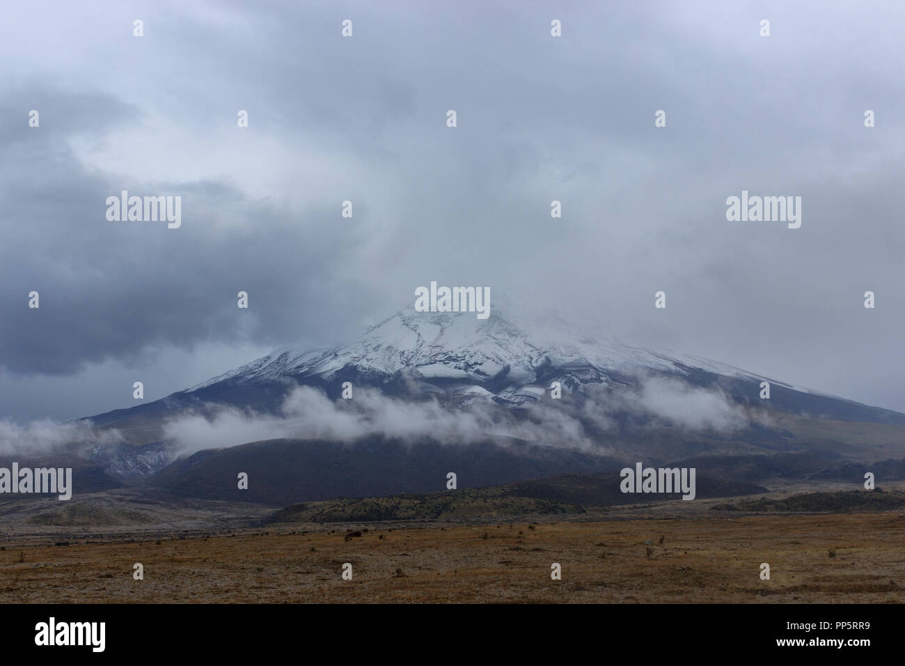 View on the strato vulcano cotopaxi, ecuador Stock Photo - Alamy