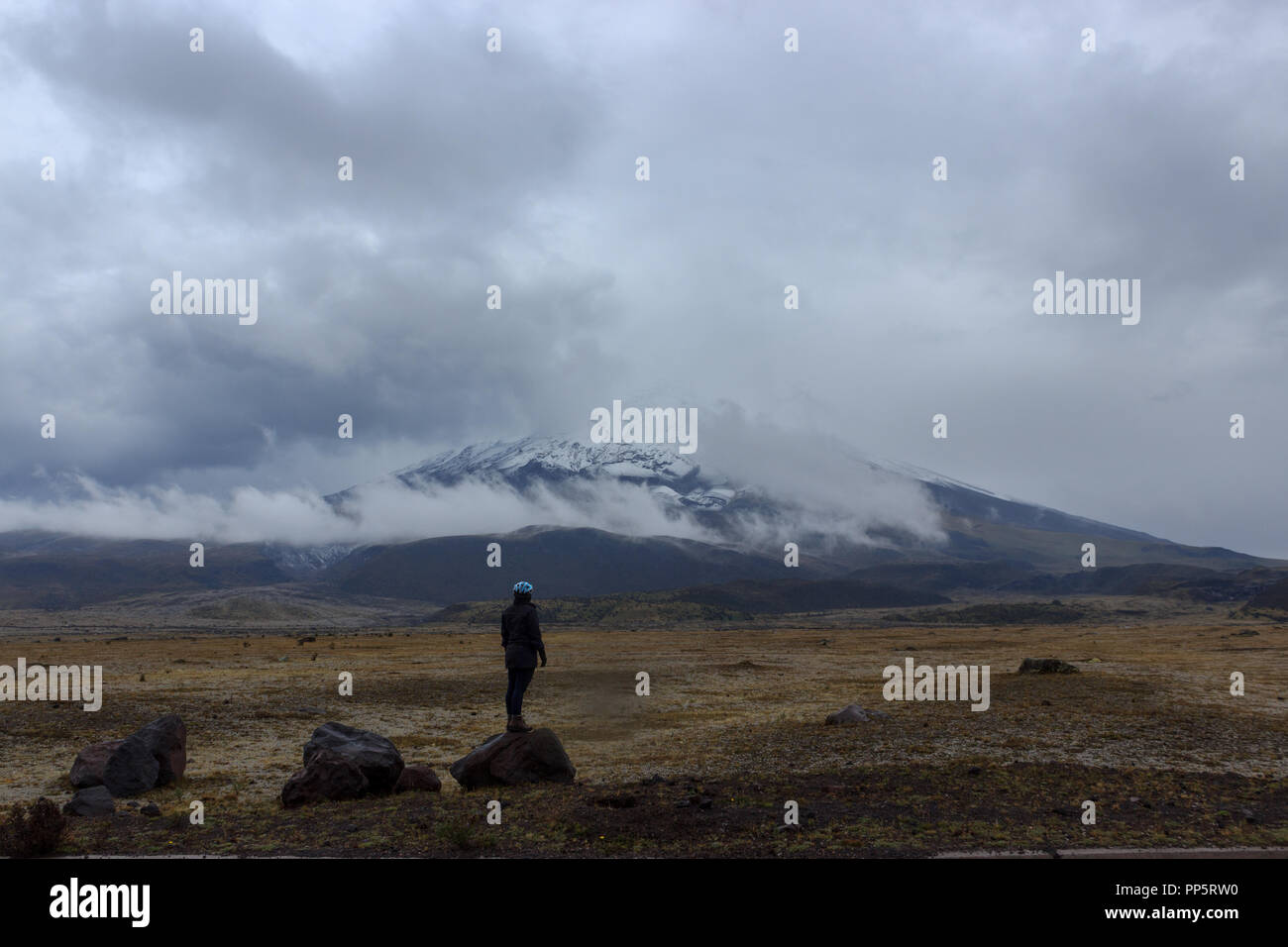 View on the strato vulcano cotopaxi, ecuador Stock Photo - Alamy