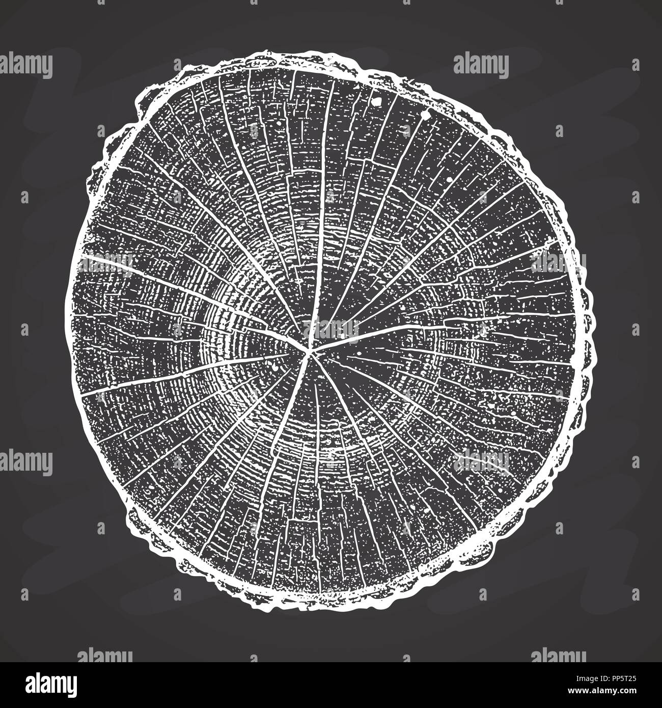Tree log, wood growth rings grunge texture vector illustration on ...