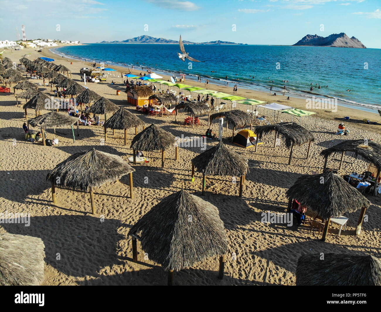 Aerial view of several palapas at Kino Bay in Sonora, Mexico. Beach ...