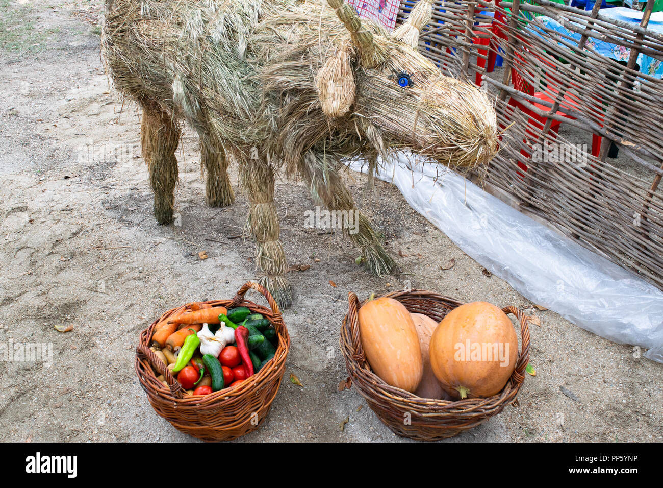 Baskets with vegetables. Assorted vegetables. Rural harvest Stock Photo ...