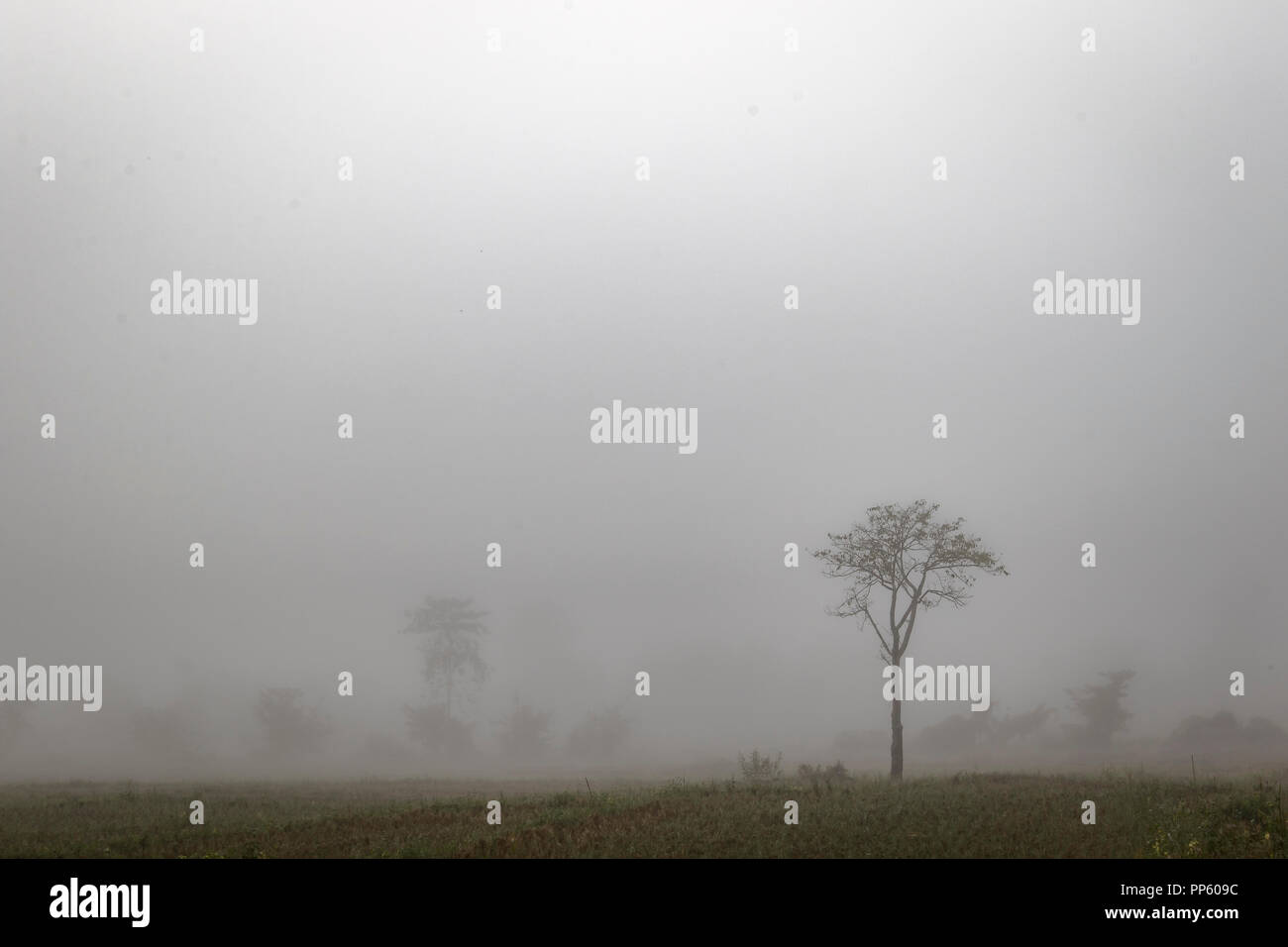 Morning mist in pai hi-res stock photography and images - Alamy