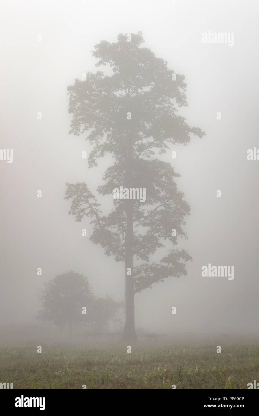 Morning mist in pai hi-res stock photography and images - Alamy