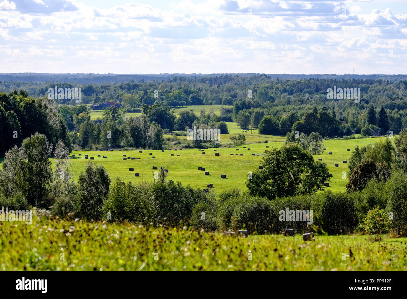 rolls of hay laying in distant field in the countryside on the green ...