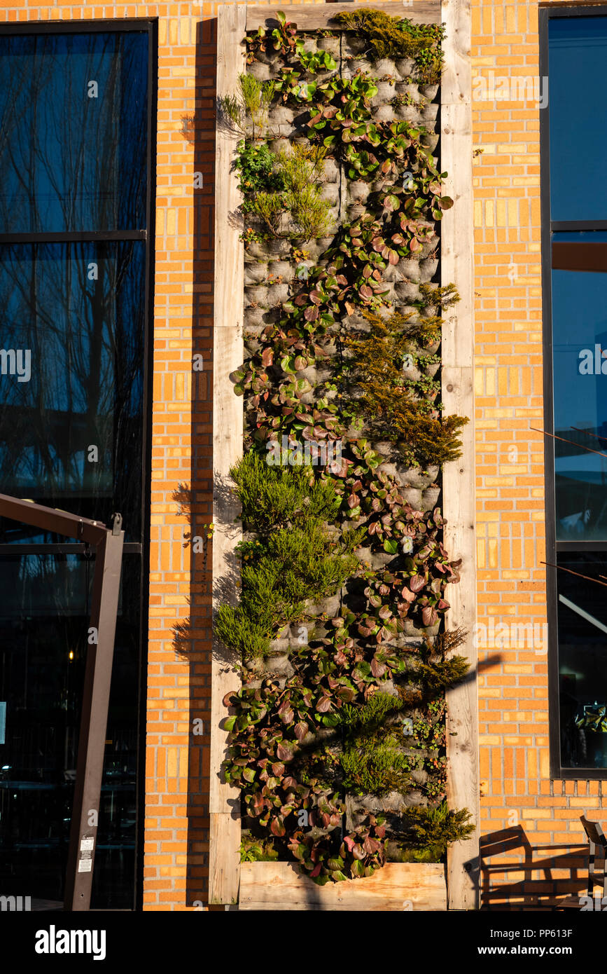 Portland oregon green roof hi-res stock photography and images - Alamy