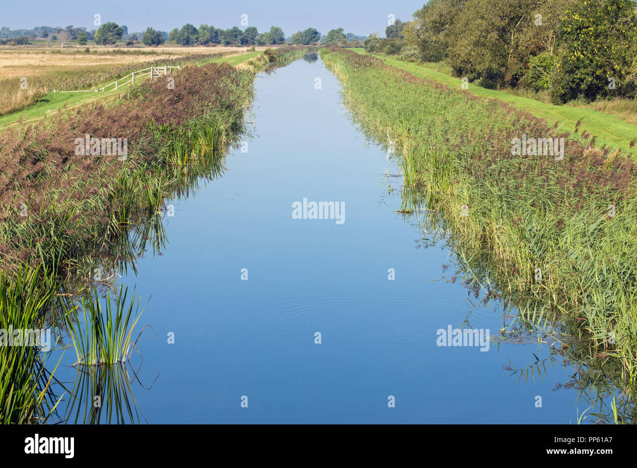 Lode cambridgeshire hi-res stock photography and images - Alamy