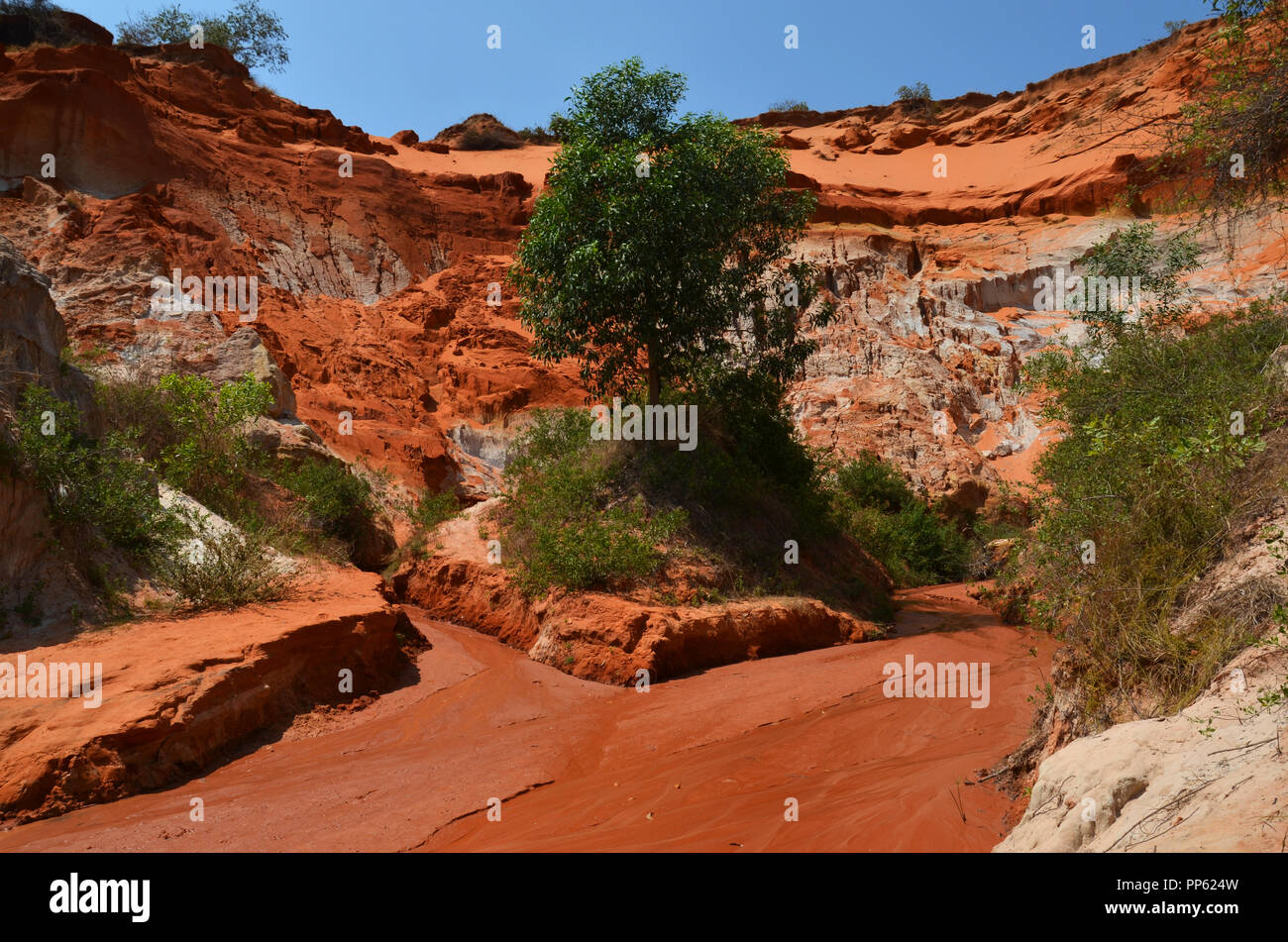 The Fairy Spring (Suoi Tien) - Red Canyon in Mui Ne, Vietnam Stock ...