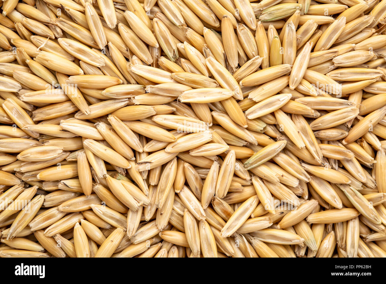 macro shot of oats (organic, whole groats) background Stock Photo - Alamy