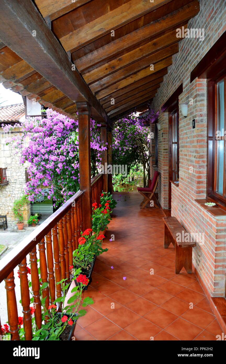 corridor with flowers Stock Photo - Alamy