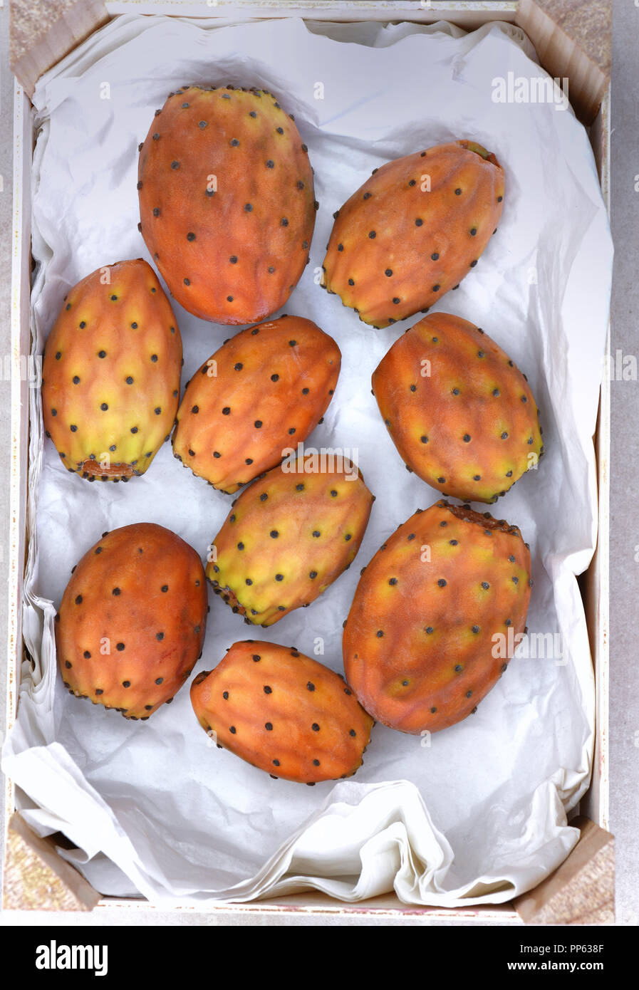 Paddle box hi-res stock photography and images - Alamy
