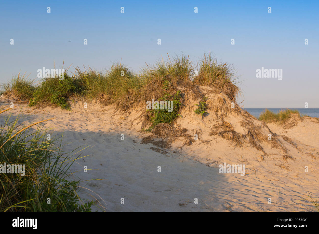 Hampton beach hi-res stock photography and images - Alamy