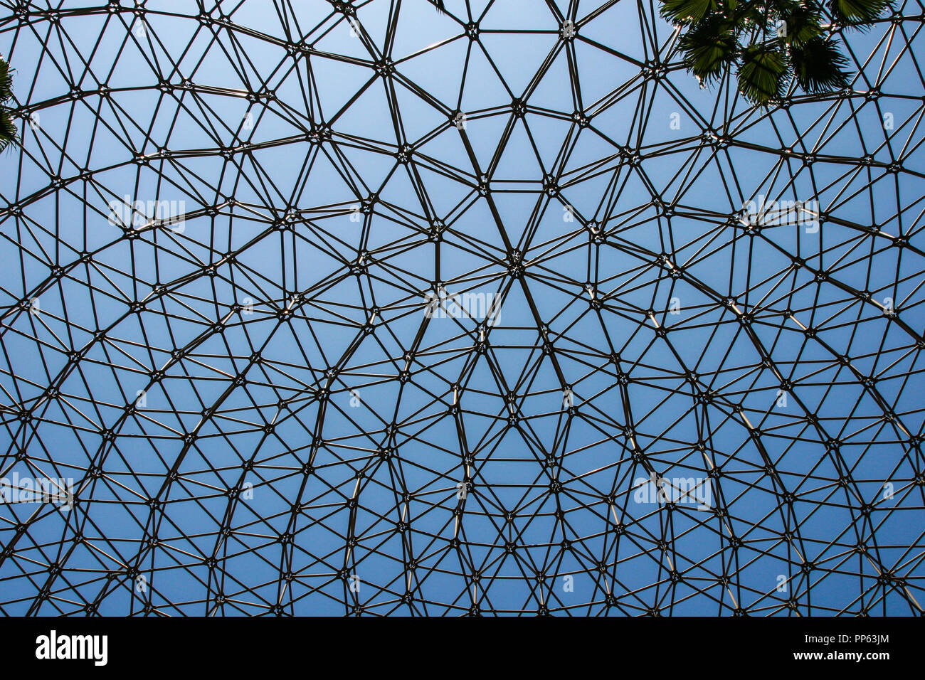 Curved ceiling of dome with geometric frame structure in black steel ...