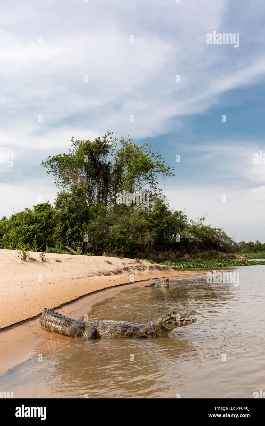 Shoreadult hi-res stock photography and images - Alamy