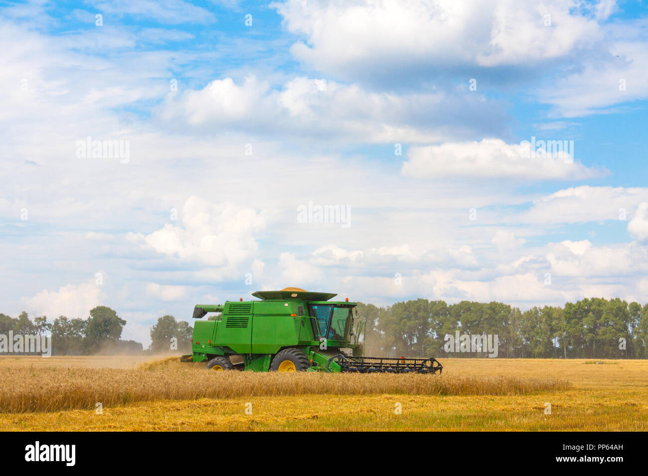 Combine harvesting Wheat plants in the field Stock Photo - Alamy