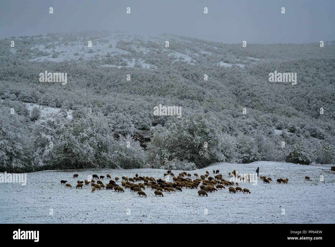 Village life in armenia hi-res stock photography and images - Alamy