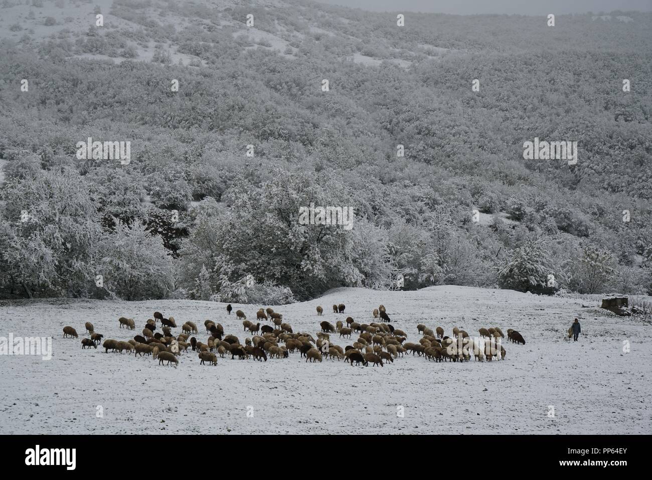 Village life in armenia hi-res stock photography and images - Alamy