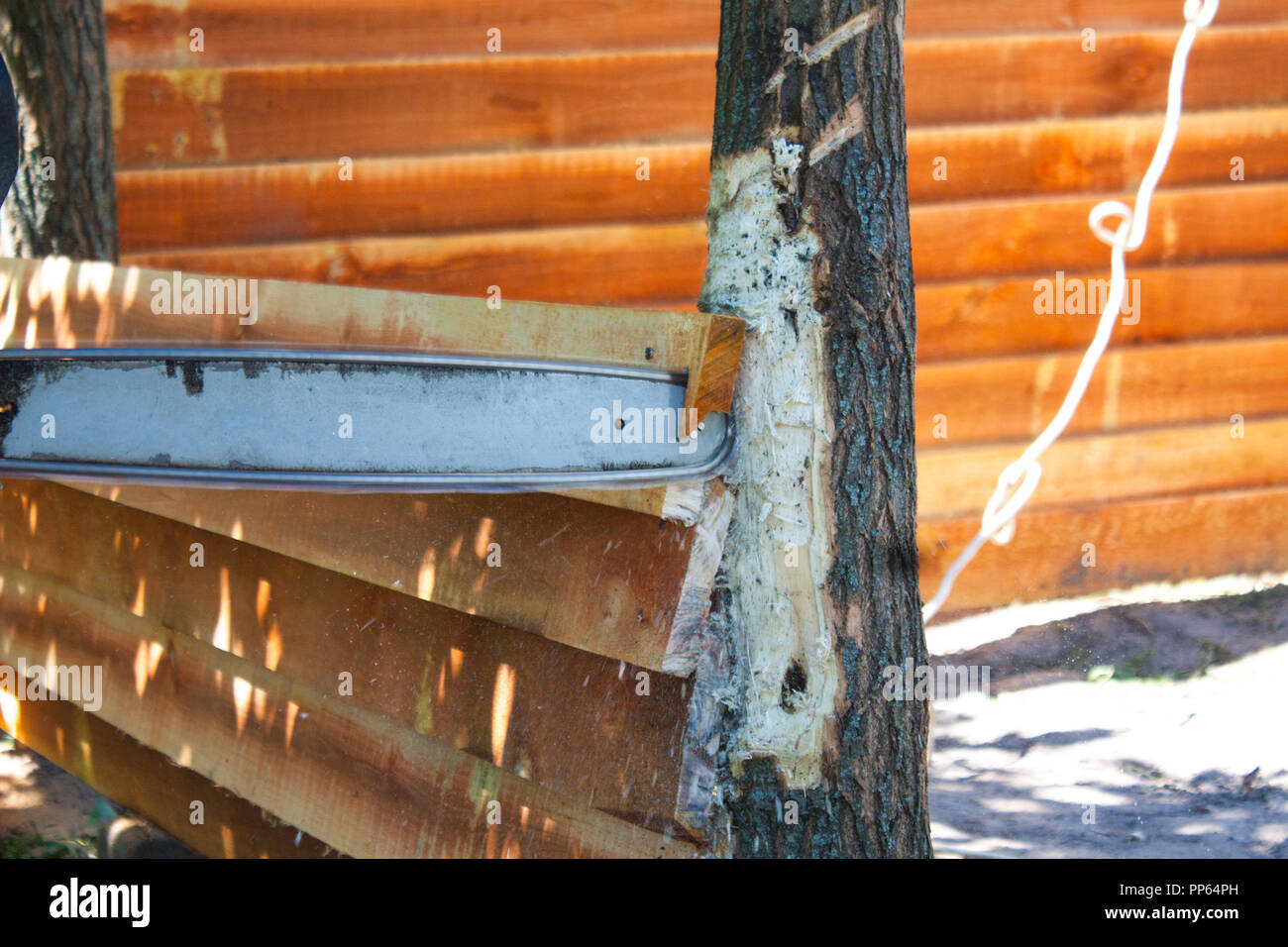 Chainsaw cutting wood on building site of outdoor shack Stock Photo - Alamy
